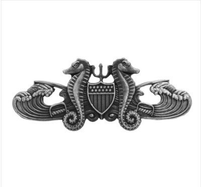 GENUINE U.S. COAST GUARD BADGE: ENLISTED PORT SECURITY - REGULATION ...