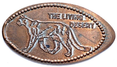 Palm Desert California The Living Desert Panther Elongated Smashed ...