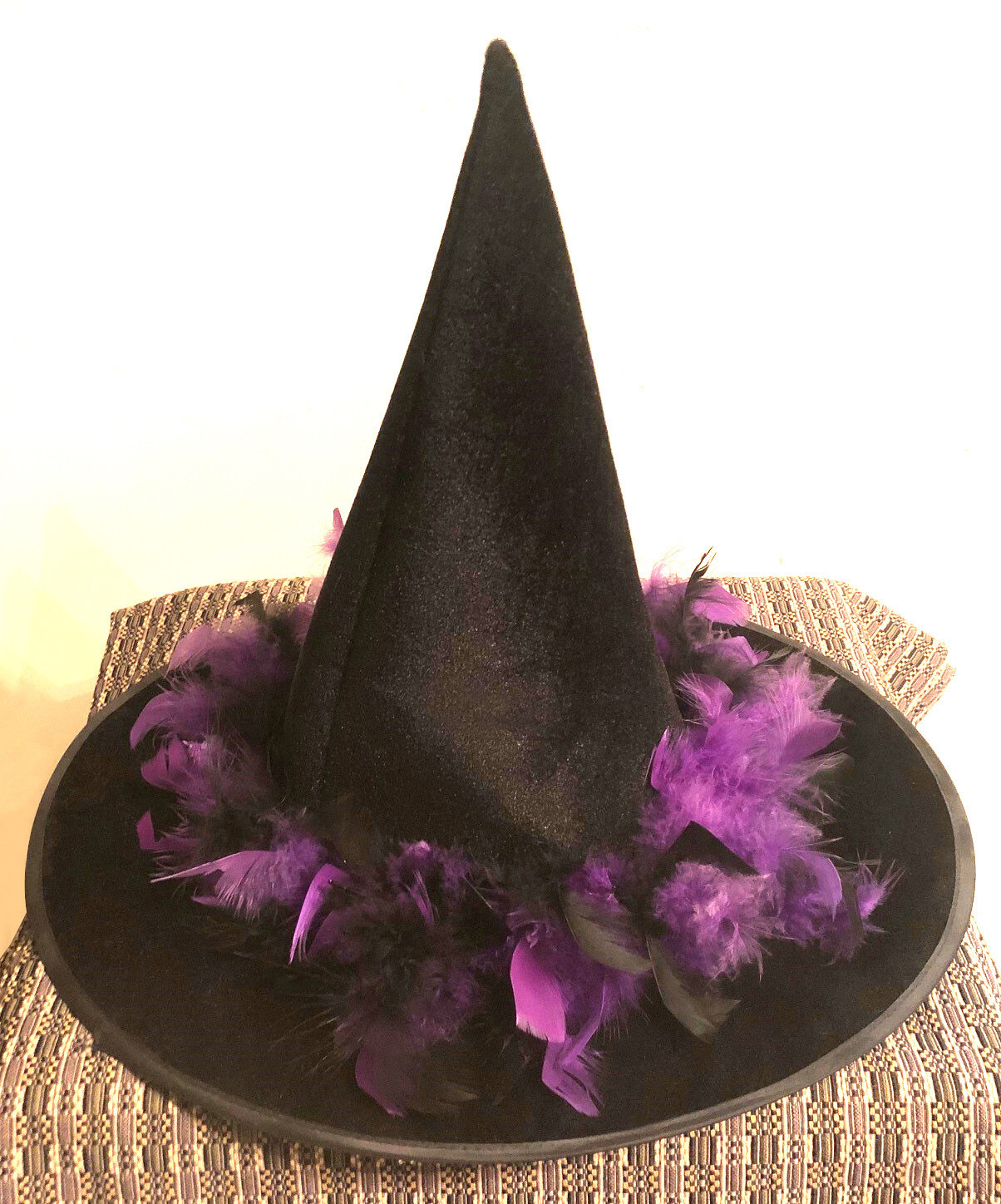 Witch Hat Adult Halloween Costume - Gem