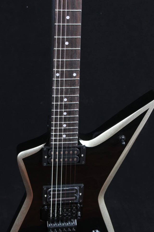 Hot Sale Factory Customized 6strings Washburn Dimebag "Stealth ...