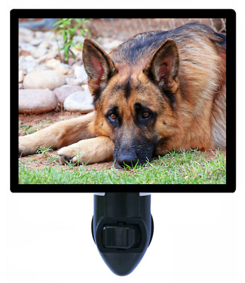 Dog Decorative Photo Night Light, German Shepherd | eBay
