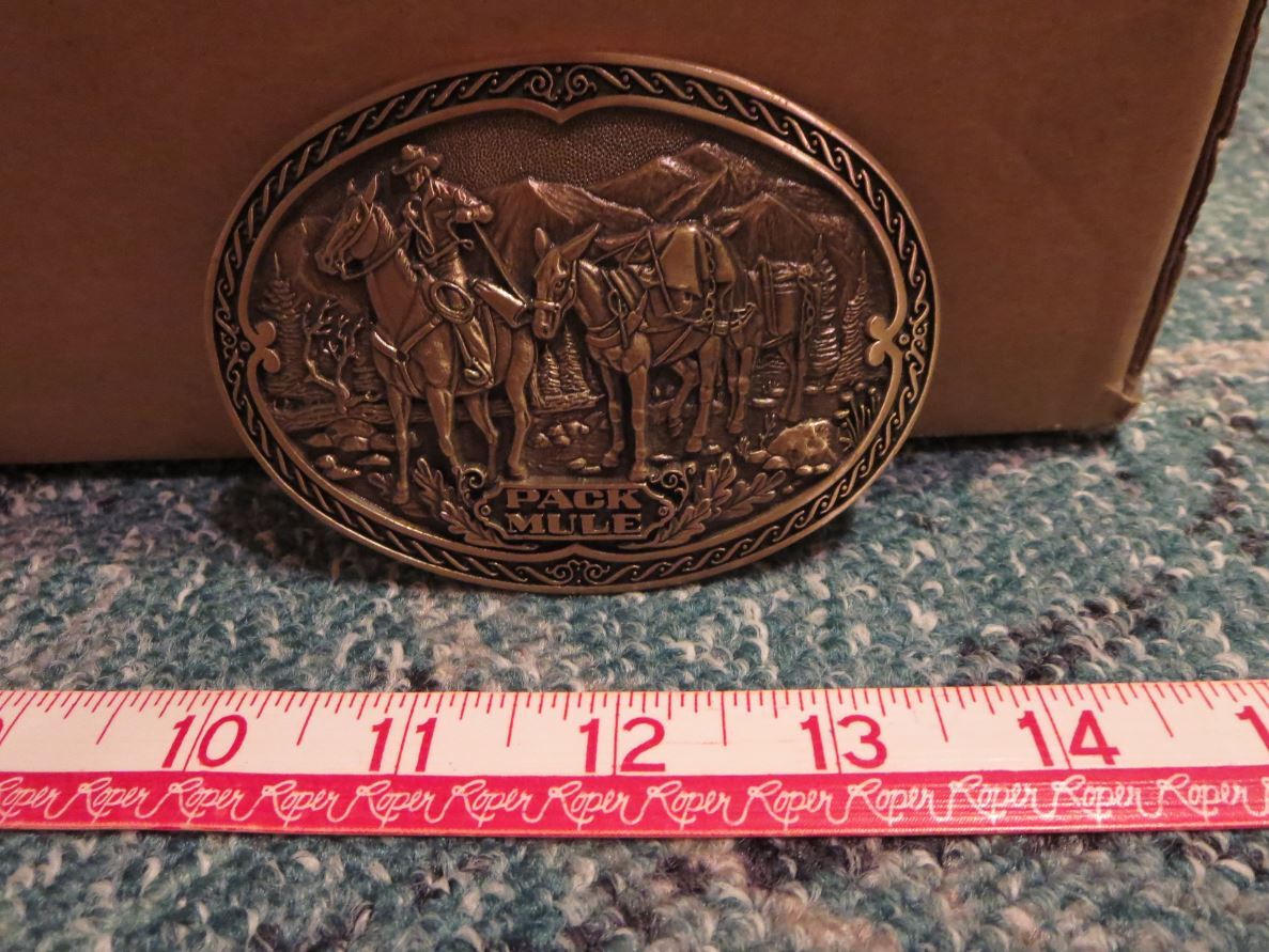PACK MULE Pulling Mule RACING Reining ROPING MULE ~ T… - Gem