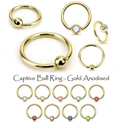 Gold Plated Labret Tragus Cartilage Lip Bar Horseshoe CBR Piercing Ear ...