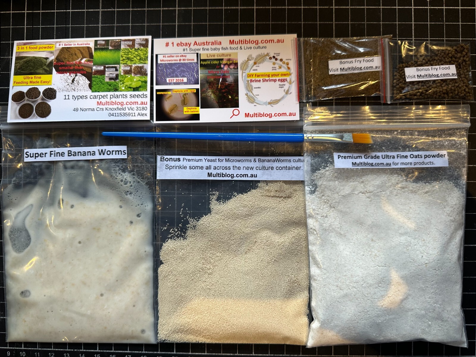 Live Brine vinegar eels,shrimps , micro worms,Turbatrix aceti,daphnia ...