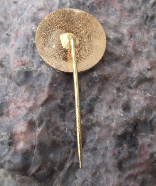 Vintage Bristol Rovers Football Club England BRFC Pirate Logo Motif Pin ...