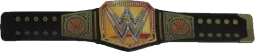 NEW wrestling WWE Championship Title belt Slap Band bracelet Series 1 U ...