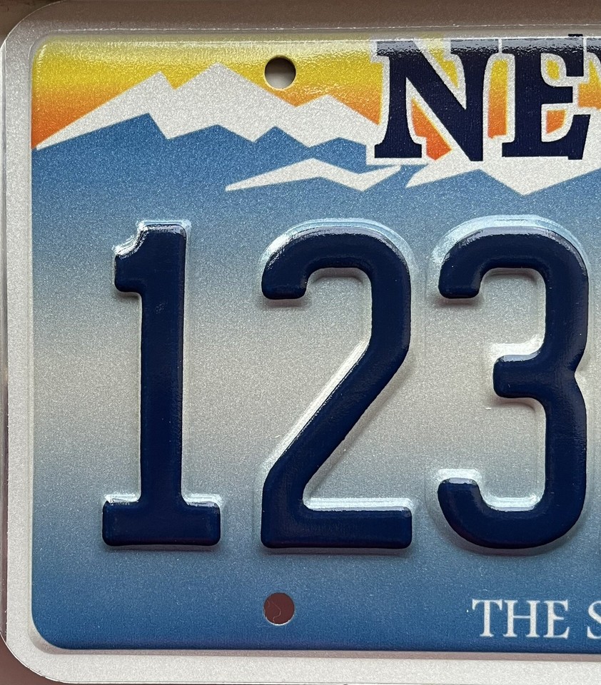 NEVADA LICENSE PLATE “The Silver State” Sample 123 ABC -MINT | eBay