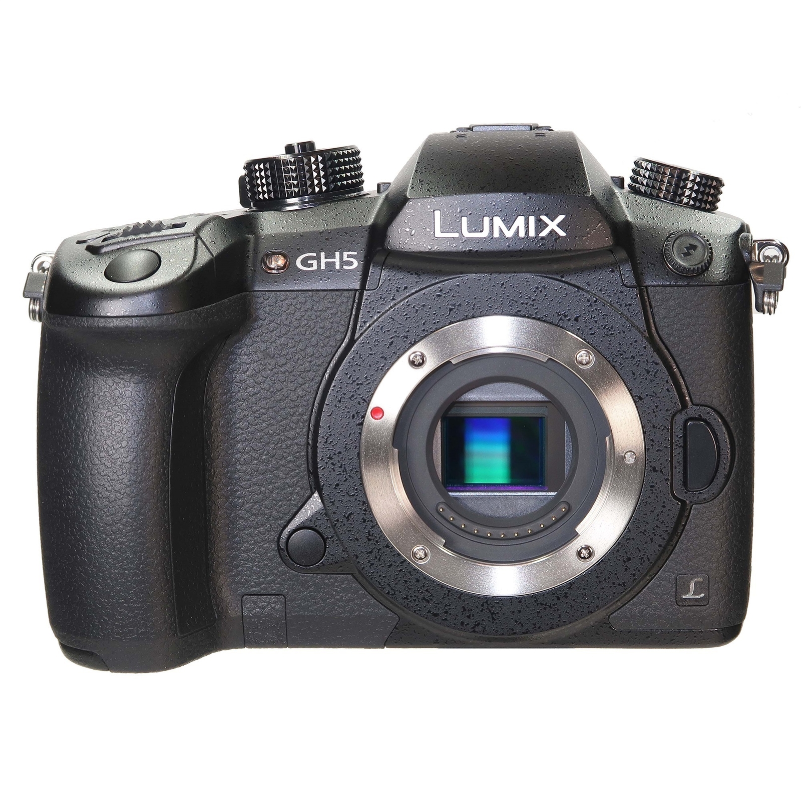 Panasonic Lumix DC-GH5K 20.3 MP Digital SLR Camera - Black (Body Only ...
