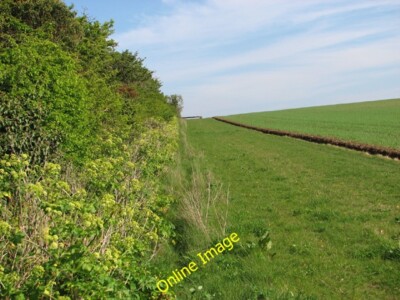 Photo 6x4 Field margin and boundary hedge Warham/TF9441 c2014 | eBay UK