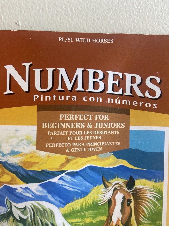 Reeves Painting Paint by Numbers PL/51 WILD HORSES New Sealed | eBay