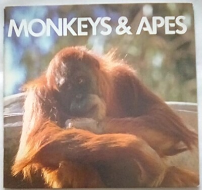 Monkeys & Apes: An Animal Information Book by Elisabeth Kaufman (1984 ...