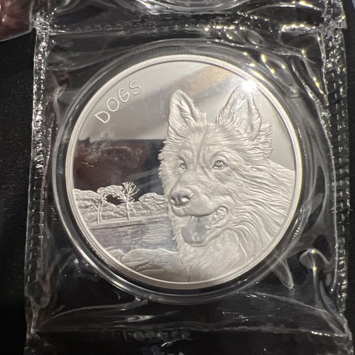 2023 Fiji Dogs 1 oz Silver Proof-Like Coin in direct fit capsule ...