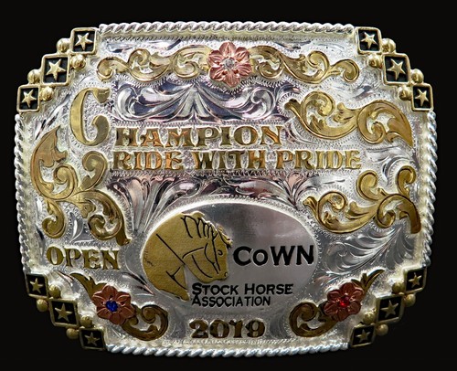 COWN Stock Horse Association 2019 Open Champion Trophy Belt Buckle | eBay