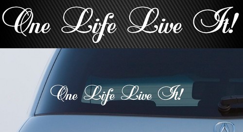 ONE LIFE LIVE IT Sticker 4x4 4wd Caravan 400mm Car Ute | eBay Australia