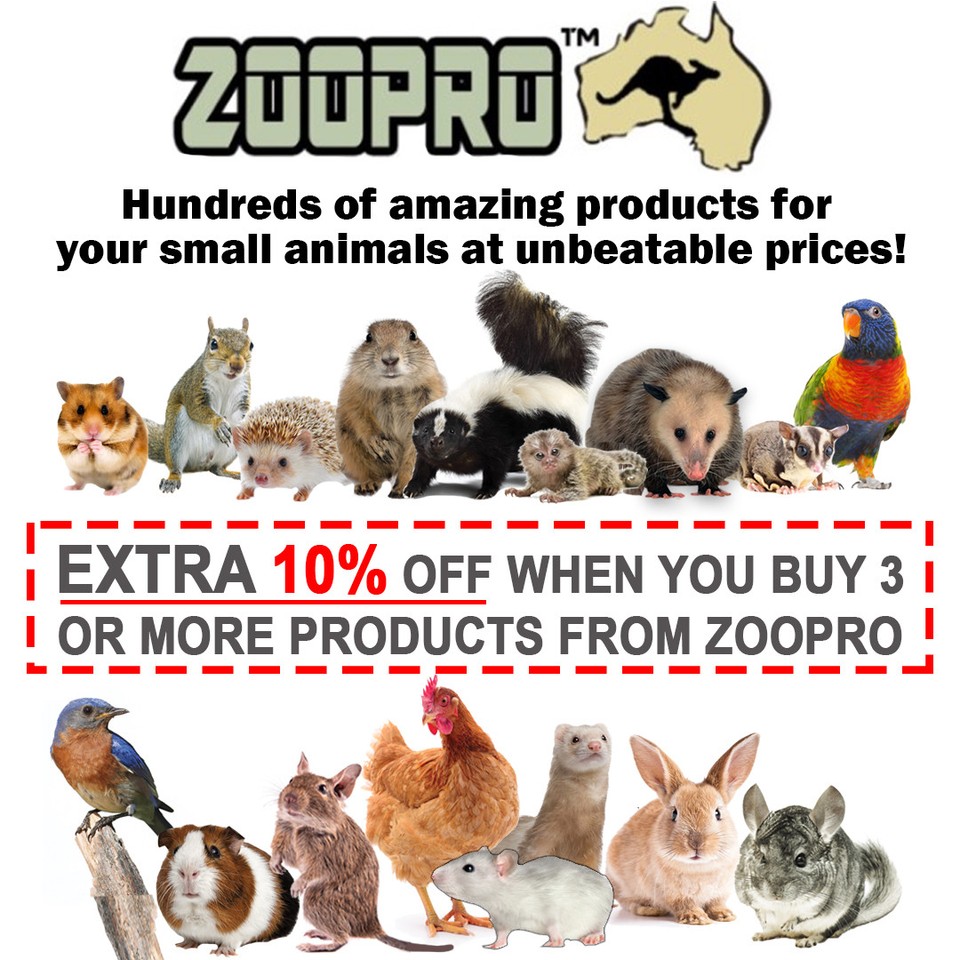 Rodent Blocks (1 lb.) - Food for Rats, Mice, Squirrels, Degus & Other ...