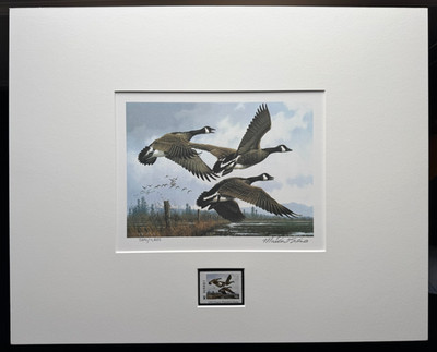 1984 First of State - Oregon Duck Stamp Print and Stamp - NEVER FRAMED ...