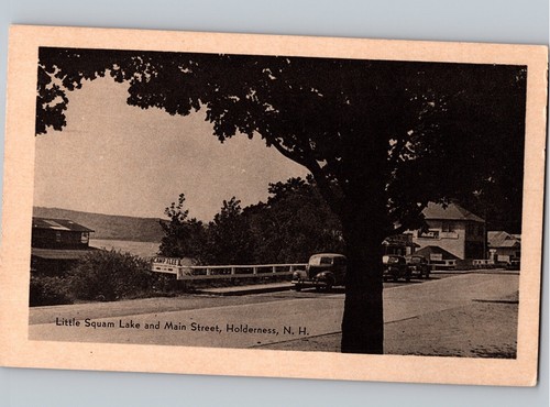 c1920 Little Squam Lake & Main Street Holderness New Hampshire NH CAMP ...