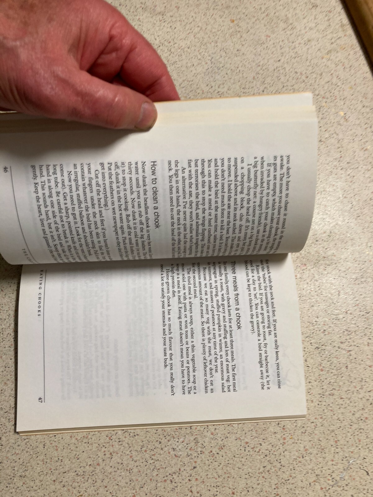 Jackie French's Chook Book / paperback | eBay