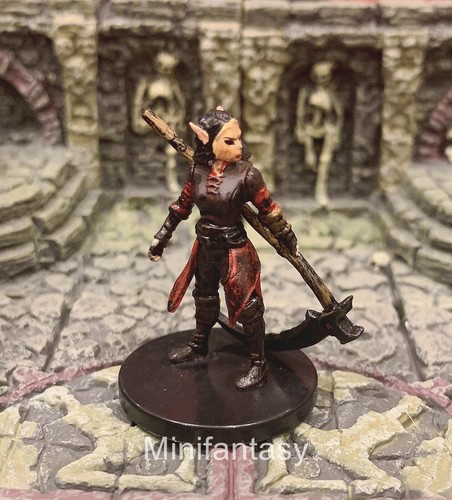 Jaethal Elf Inquisitor D&D Miniature Dungeons Dragons Kingmaker Undead ...