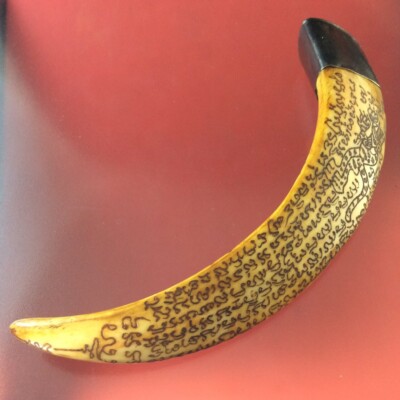 Jewelry - Pig Tooth Amulet