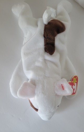 Ty Beanie Baby Butch the Dog DOB October 2, 1998 Excellent w/tags | eBay
