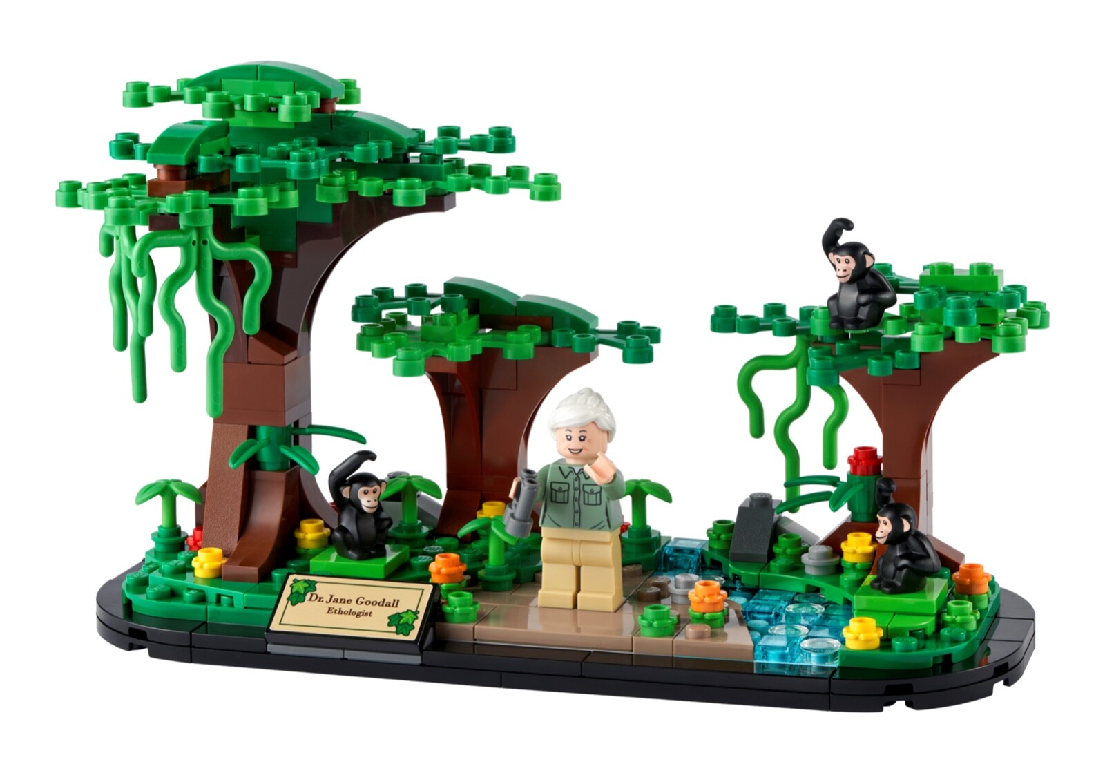 LEGO JANE GOODALL TRIBUTE DIORAMA RETIRED SET 40530 FACTORY SEALED | eBay