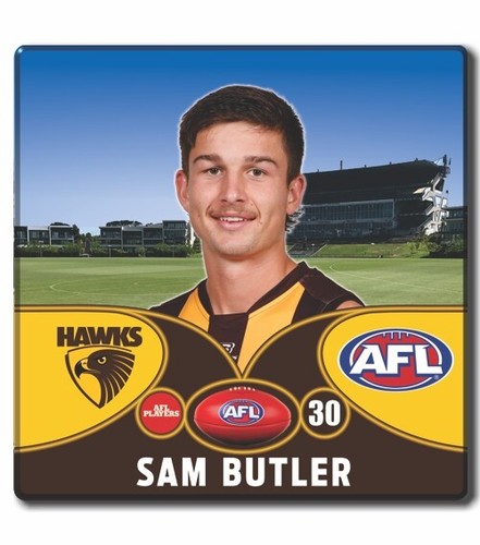 2023 AFL Hawthorn Football Club - BUTLER, Sam | eBay