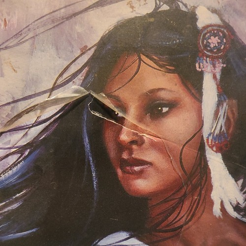 Penni Anne Cross Alawa-sta-we-ches 16x20 American Indian Artwork ...