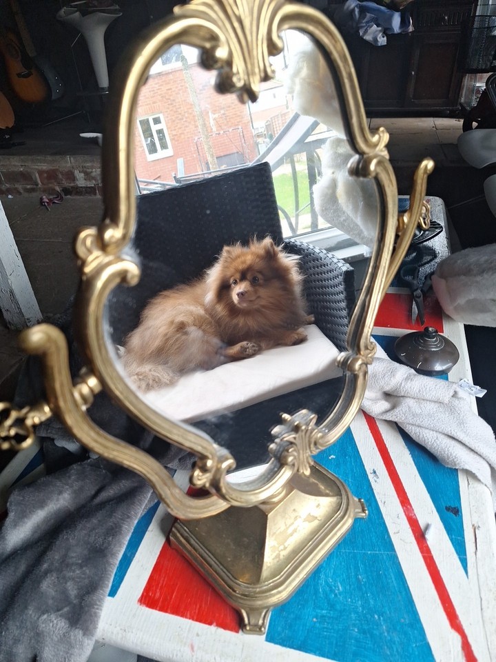 Guilded Brass Vanity Tilting Mirror Table Mounted | eBay UK