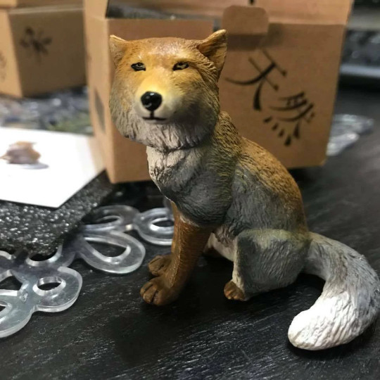 Tibetan Sand Fox Baby