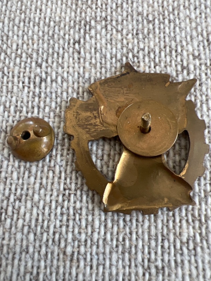 Czechoslovakia: Large bronze TYRSOV Communist movement badge 1950s-60s ...