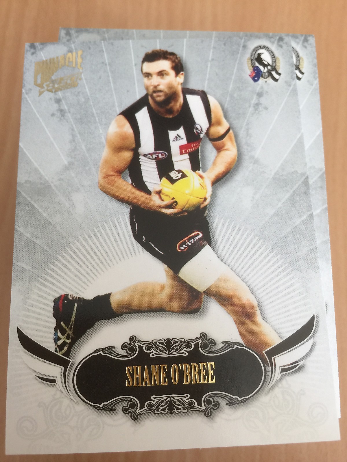 2009 Select Pinnacle Base Card (41) Shane O'BREE Collingwood | eBay ...