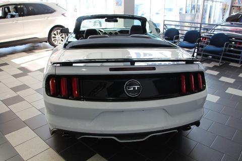 Fits: Ford Mustang Convertible 2015+ Painted Custom Rear Spoiler | eBay