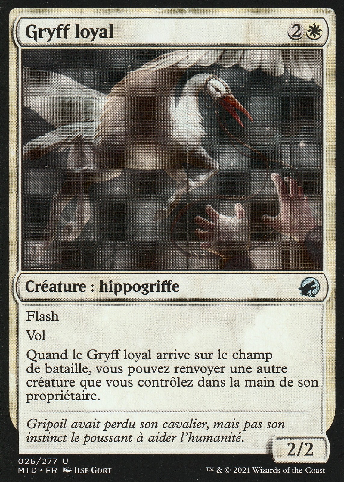 MTG - Gryff loyal x2 / Innistrad Chasse de minuit VF | eBay