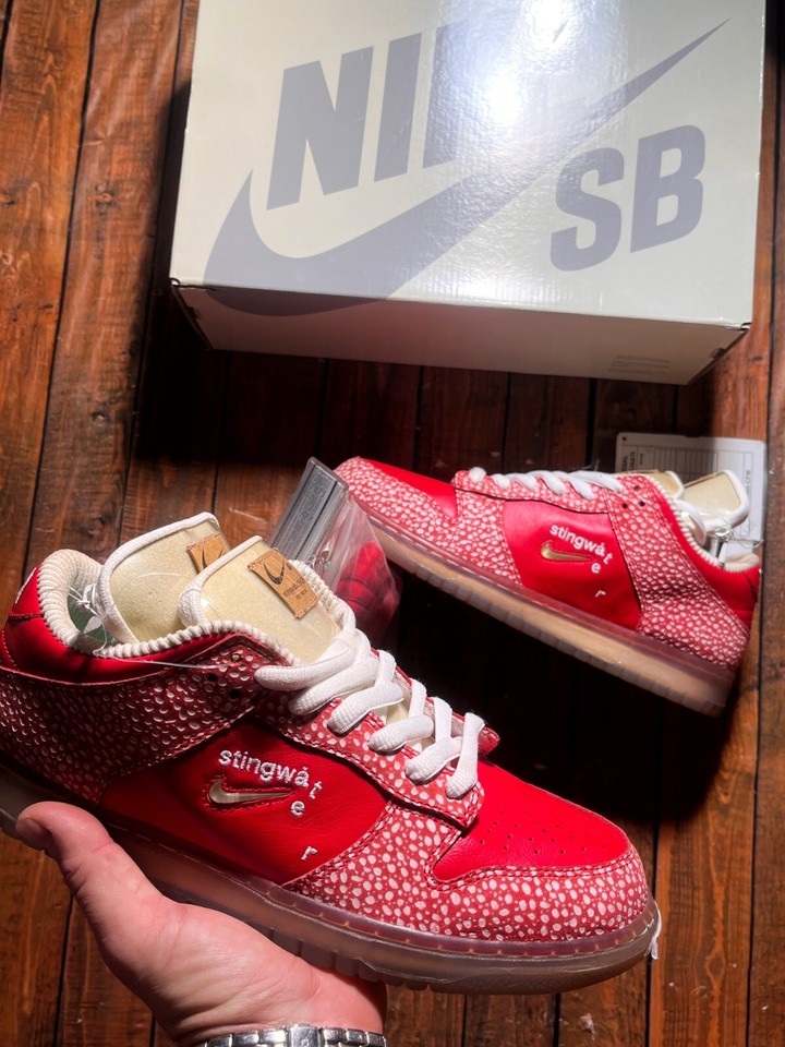 1 of 1? SAMPLE! NIKE SB Dunk Stingwater Double Tongue! Prototype Look ...