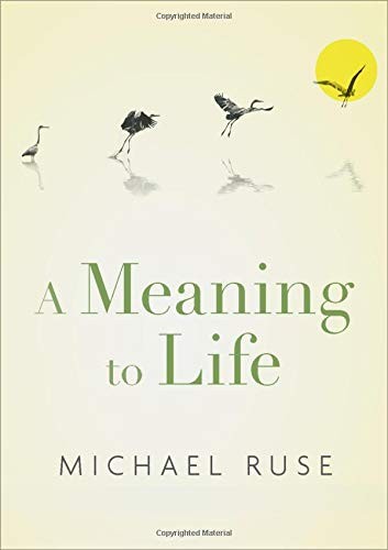 A MEANING TO LIFE (PHILOSOPHY IN ACTION) By Michael Ruse - Hardcover ...