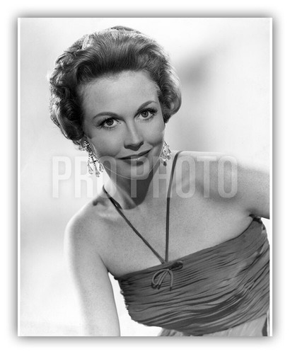 Curse Of Frankenstein Hazel Court 1957 Rare Publicity Photo UK Hammer ...