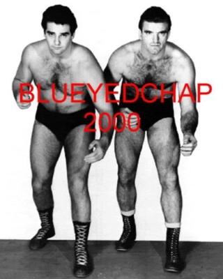 MARK LEWIN & DON CURTIS WRESTLER 8 X 10 WRESTLING PHOTO NWA | eBay