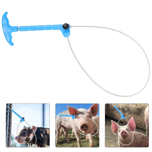 Animal Control Pole Portable Catch Holder for Dogs | eBay