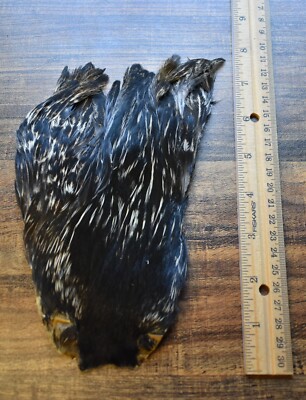 Lot 155, Natural India Hen Neck Cape Feathers for Fly Tying | eBay