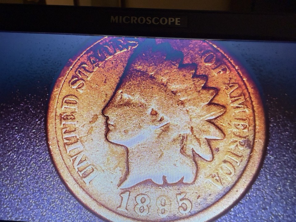 1895 Indian Head Cent Penny F-cleaned "Actual Coin Pictured" | eBay