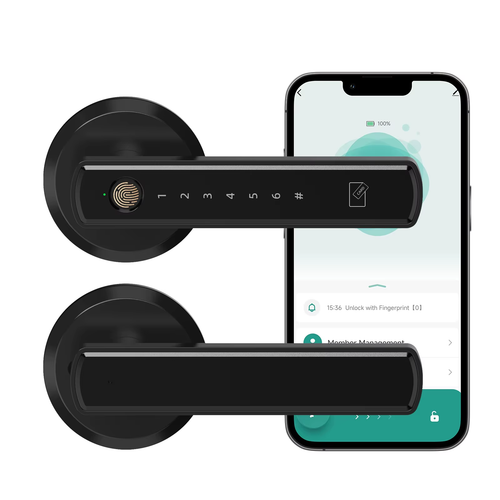 Smart Lock Fingerprint Door Lock App Control TYPE-C Interface Passcode ...
