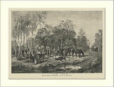 JAGD BERCENCZE UNGARN GRAF FESTETICS K&K HOLZSTICH L740 | eBay.de