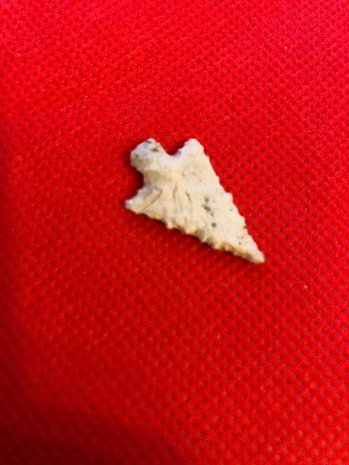 Authentic Bird Point Arrowhead from East Texas from the Caddo Indians ...