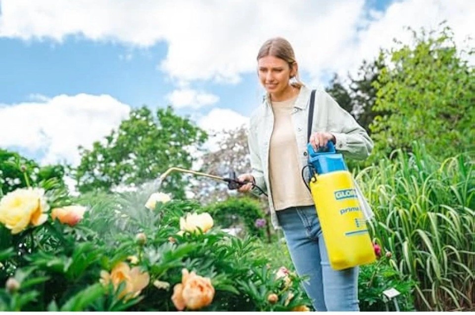 GLORIA Prima 5 Pressure Sprayer | Garden Sprayer/Sprayer for Plant ...
