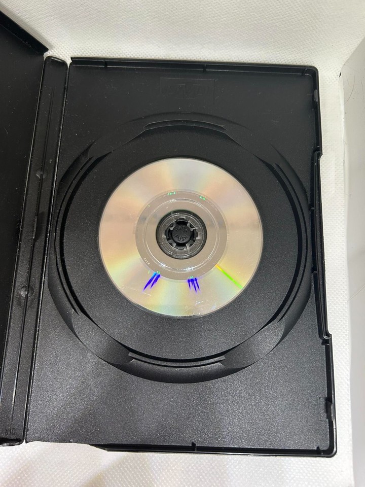 Luigi's Mansion - Nintendo GameCube - DISK ONLY - TESTED 45496960018 | eBay