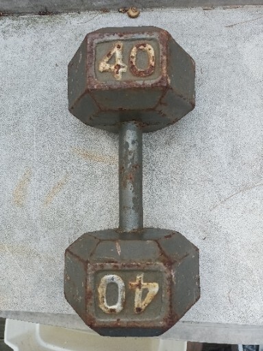 40 lb Hex Cast Iron Dumbbells USA SHIPS ASAP! 40 Total Used Hand Weight ...