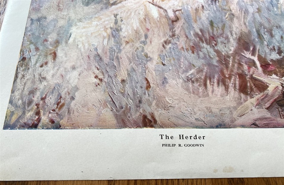 Original 1910 Philip R Goodwin Print "The Herder" Cowboy in wooly chaps ...