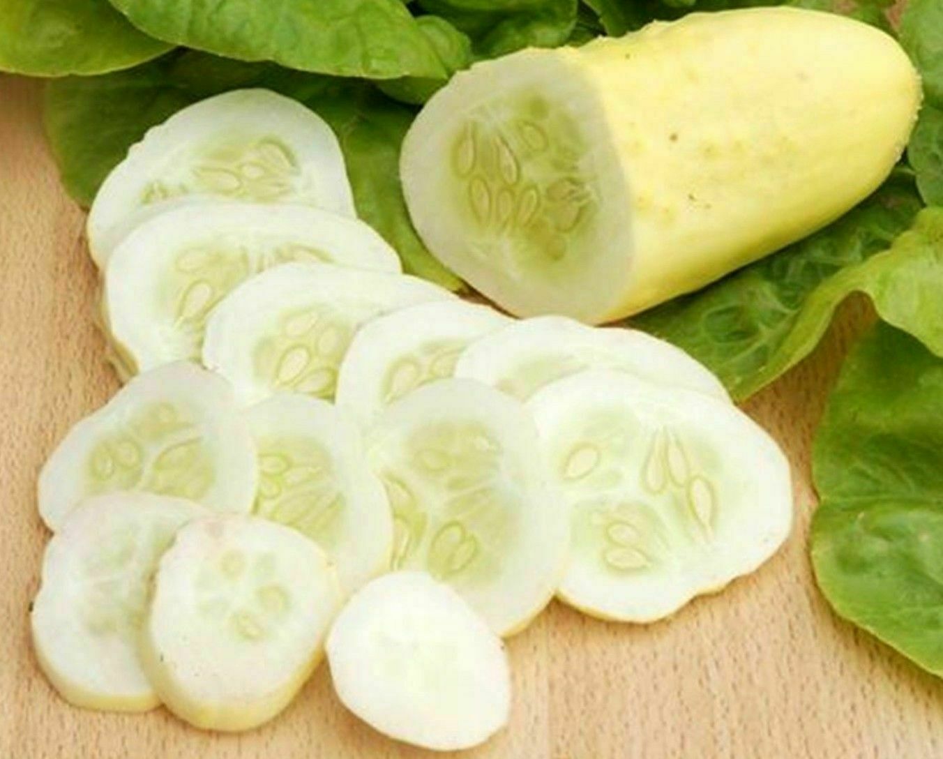 100 White Cucumber Seeds Cuke Cucumis Vegetable Seed Organic Heirloom ...