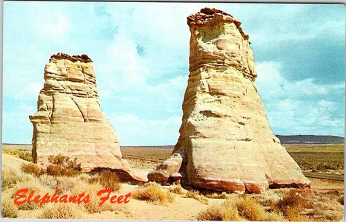 Postcard NATURE SCENE Red Lake Arizona AZ 6/7 AO8281 | eBay